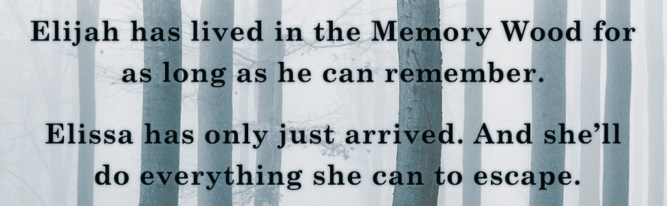 Review: The Memory Wood by Sam Lloyd – Urban Bookworm